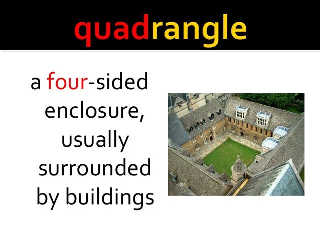 Quad vocabulary words