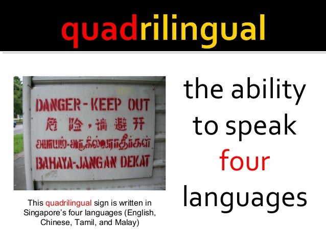 Quad vocabulary words