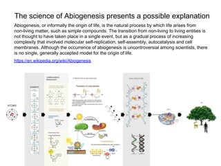AI Decision System and Longevity | PPT