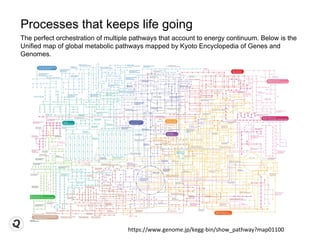 AI Decision System and Longevity | PPT