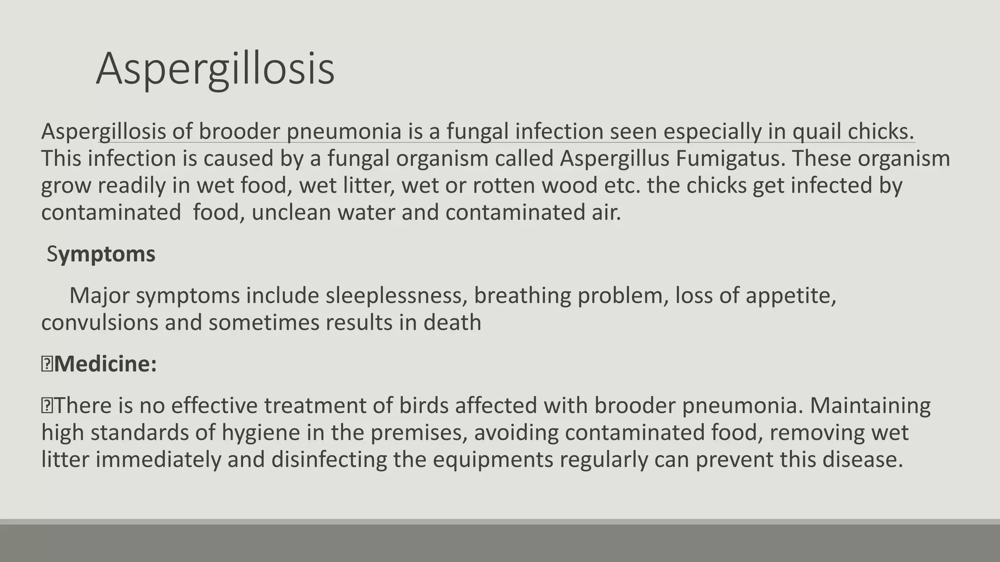 Quail-Production-and-Management-extension.pptx