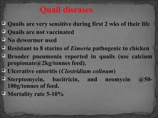Quail farming | PPT