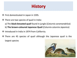 Quail farming by Dr Keerthana | PPTX