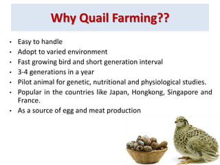 Quail farming by Dr Keerthana | PPTX