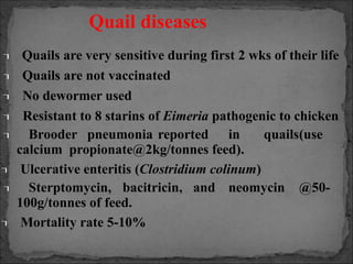 quail farming presentation is PPTX format | PPTX