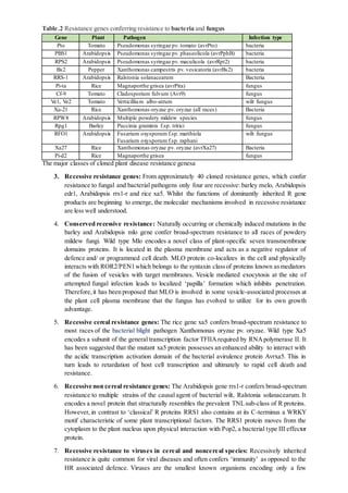PhD; Qualification exam (mesele)2 | DOCX
