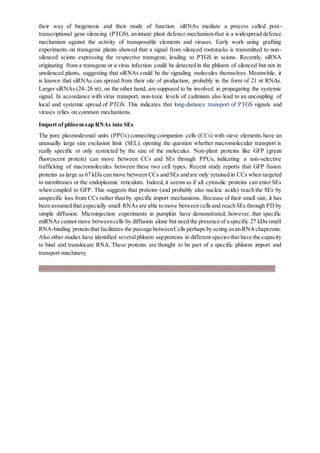 PhD; Qualification exam (mesele)2 | DOCX