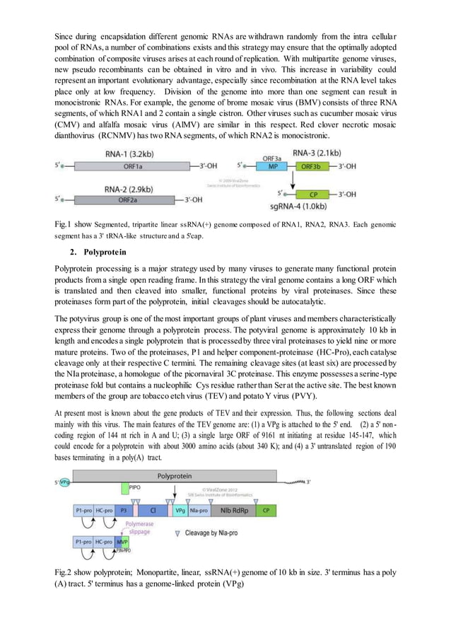 PhD; Qualification exam (mesele)2 | PDF