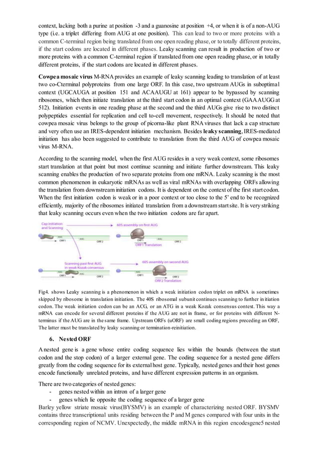 PhD; Qualification exam (mesele)2 | PDF