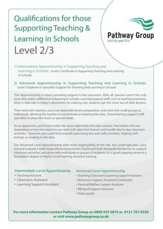 Apprenticeship In Supporting Teaching and Learning In Schools - STLLS | PDF