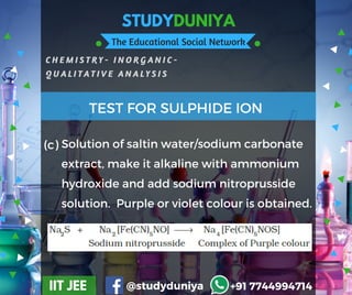 Qualitative analysis | PDF