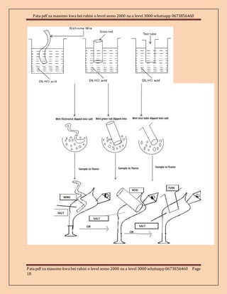 Qualitative analysis | DOCX | Chemistry | Science