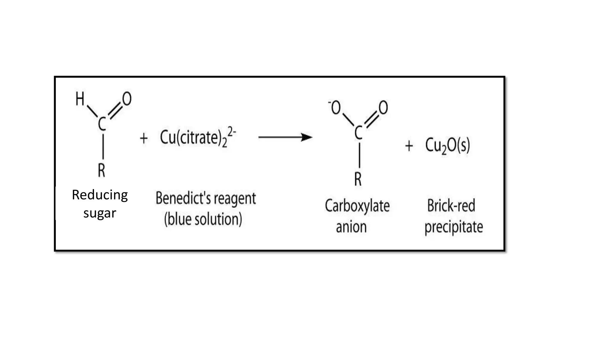 Qualitative analysis of carbohydrates | PPTX