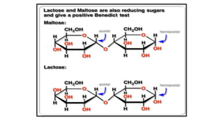 Qualitative analysis of carbohydrates | PPTX