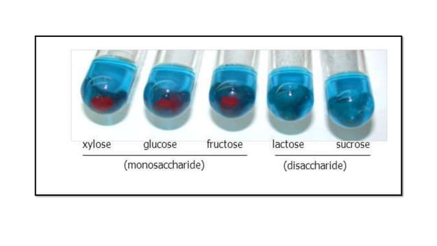Qualitative analysis of carbohydrates | PPTX
