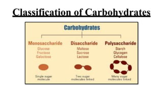 Qualitative analysis of carbohydrates | PPTX