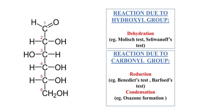 Qualitative analysis of carbohydrates | PPTX