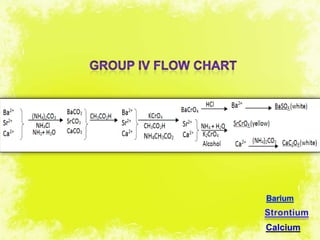 Qualitative analysis of group 4 cations | PPTX