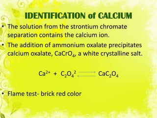 Qualitative analysis of group 4 cations | PPTX