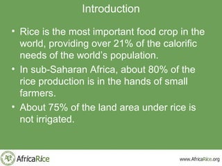 Qualitative and quantitative losses in rice 23112011 | PPT