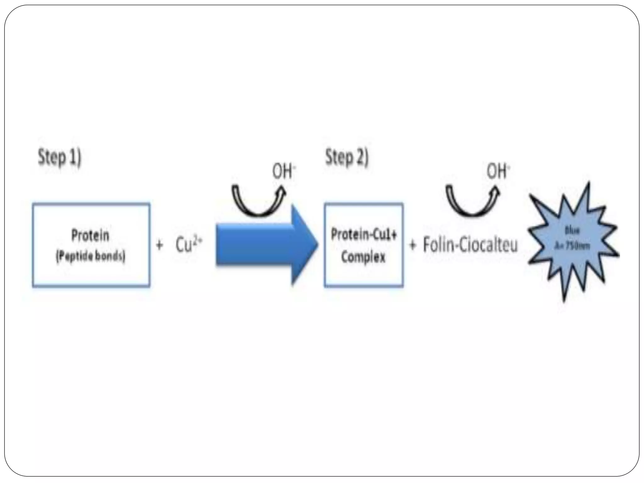 Qualitative and quantitative techniques of protein analysis | PPTX