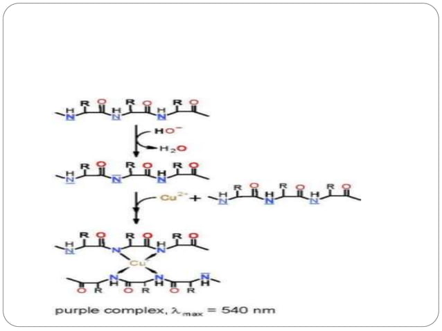 Qualitative and quantitative techniques of protein analysis | PPTX ...