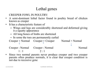 Qualitative and quantitative traits in poultry breeding kavitha (1) | PPTX