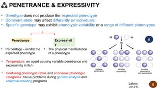 Genetics of Qualitative Phenotypes ..... | PPTX