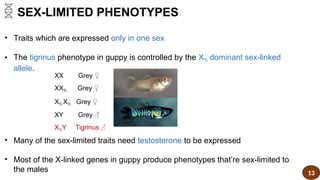 Genetics of Qualitative Phenotypes ..... | PPTX