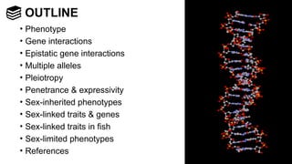 Genetics of Qualitative Phenotypes ..... | PPTX