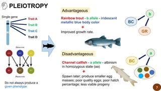 Genetics of Qualitative Phenotypes ..... | PPTX