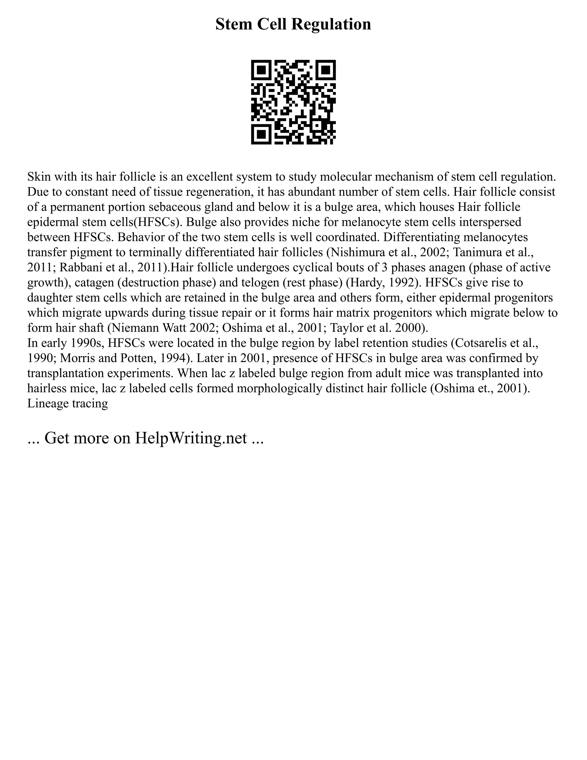 Qualitative Research Paper Theoretical Lens Example | PDF