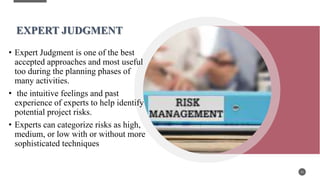 Qualitative risk analysis | PPTX