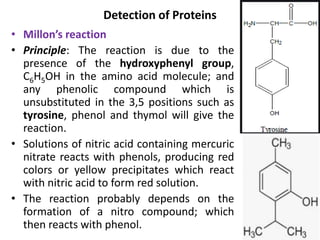 Qualitative test for proteins | PPTX