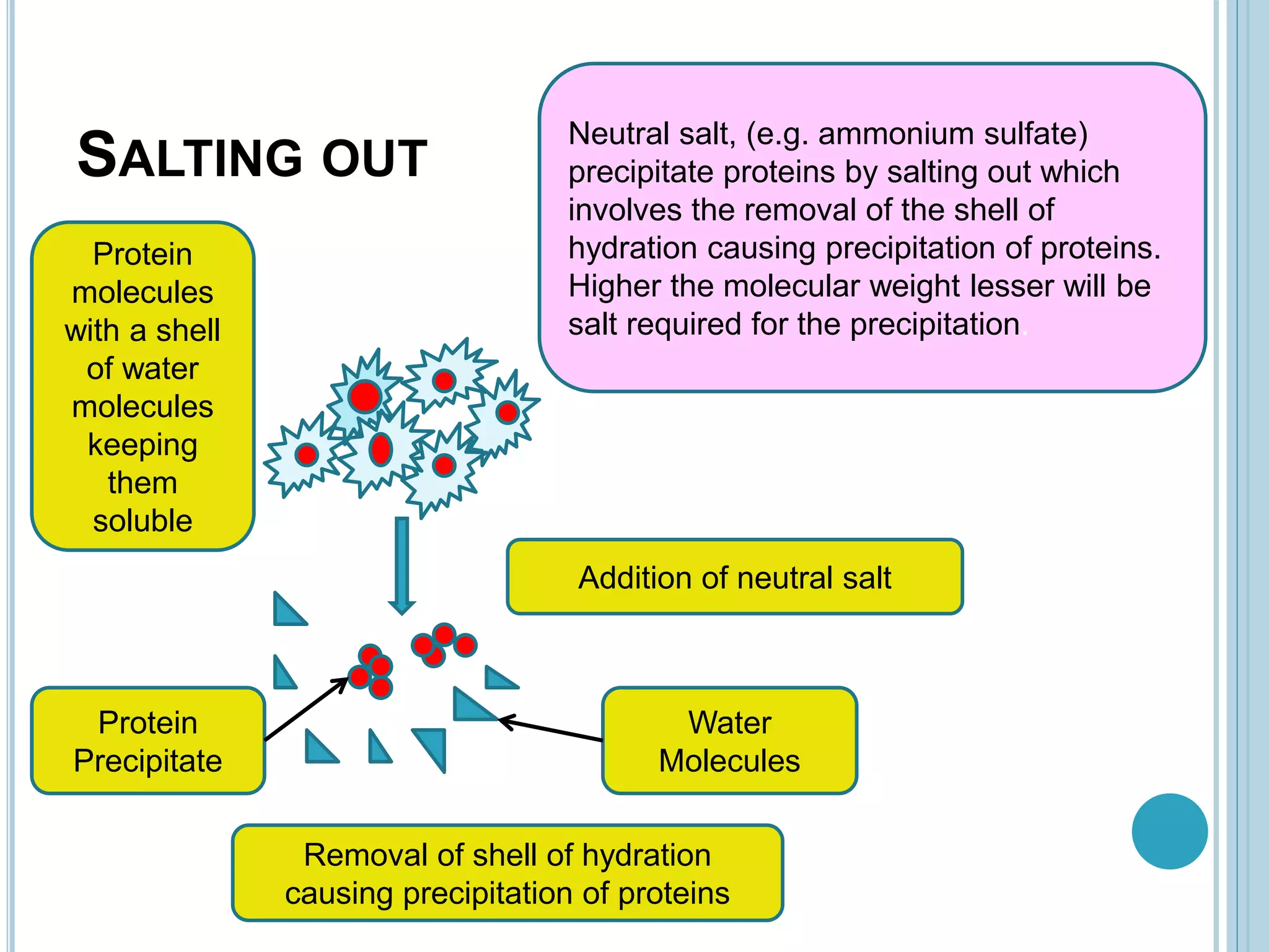 Qualitative test of proteins | PPTX