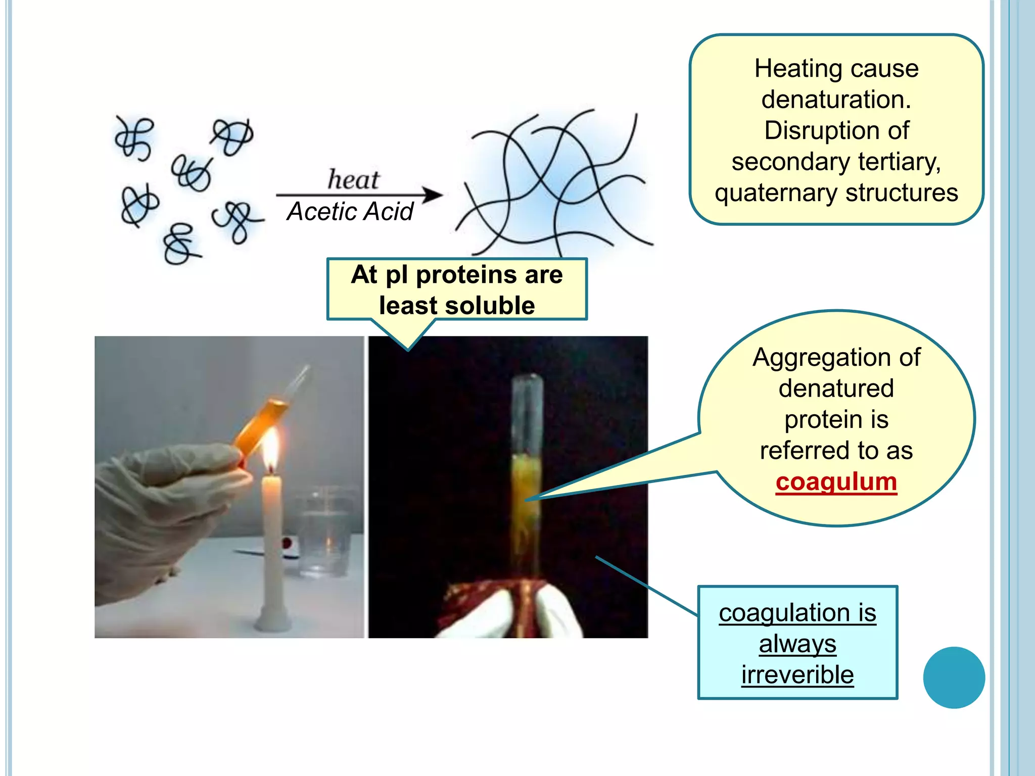 Qualitative test of proteins | PPTX