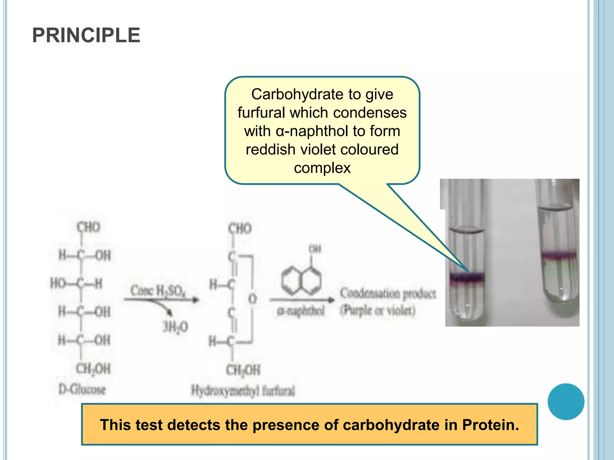 Qualitative test of proteins | PPTX
