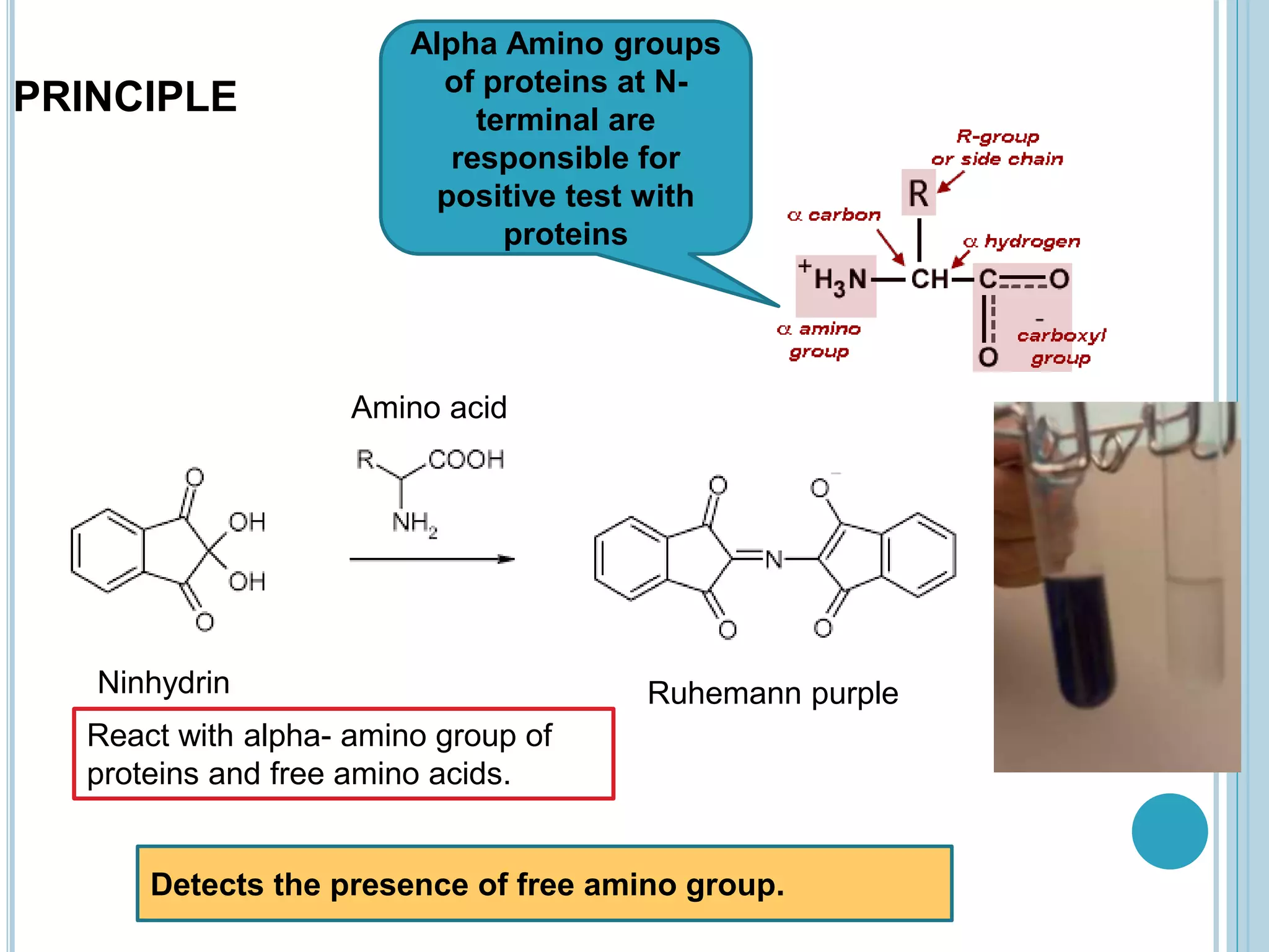 Qualitative test of proteins | PPTX