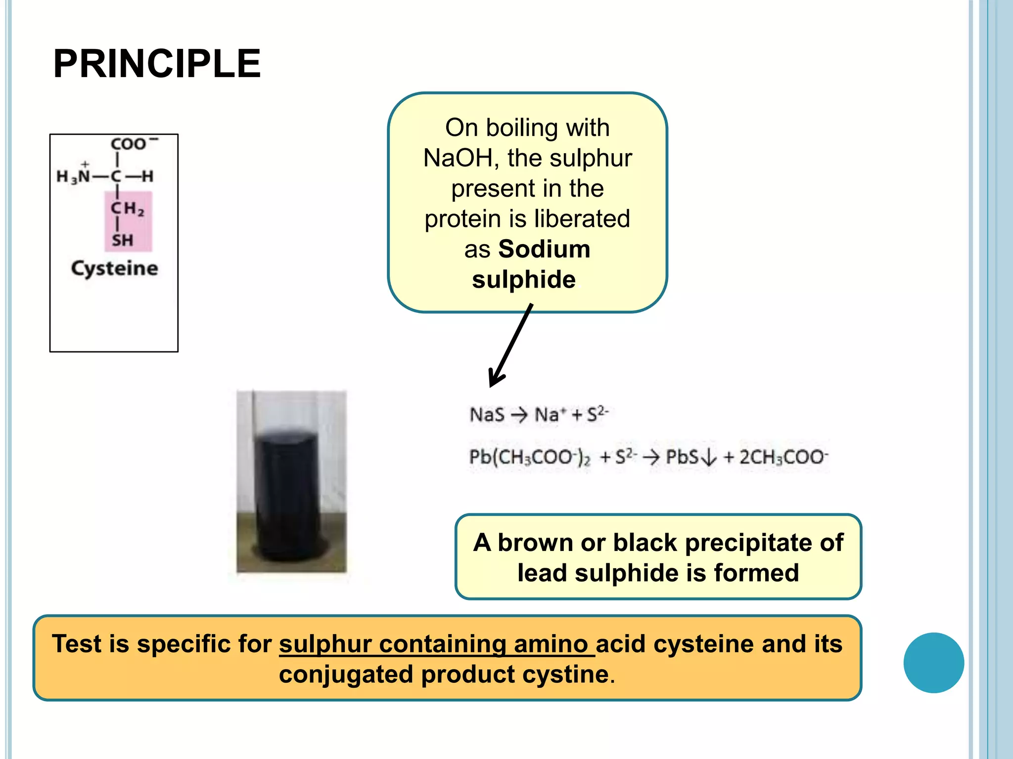 Qualitative test of proteins | PPTX