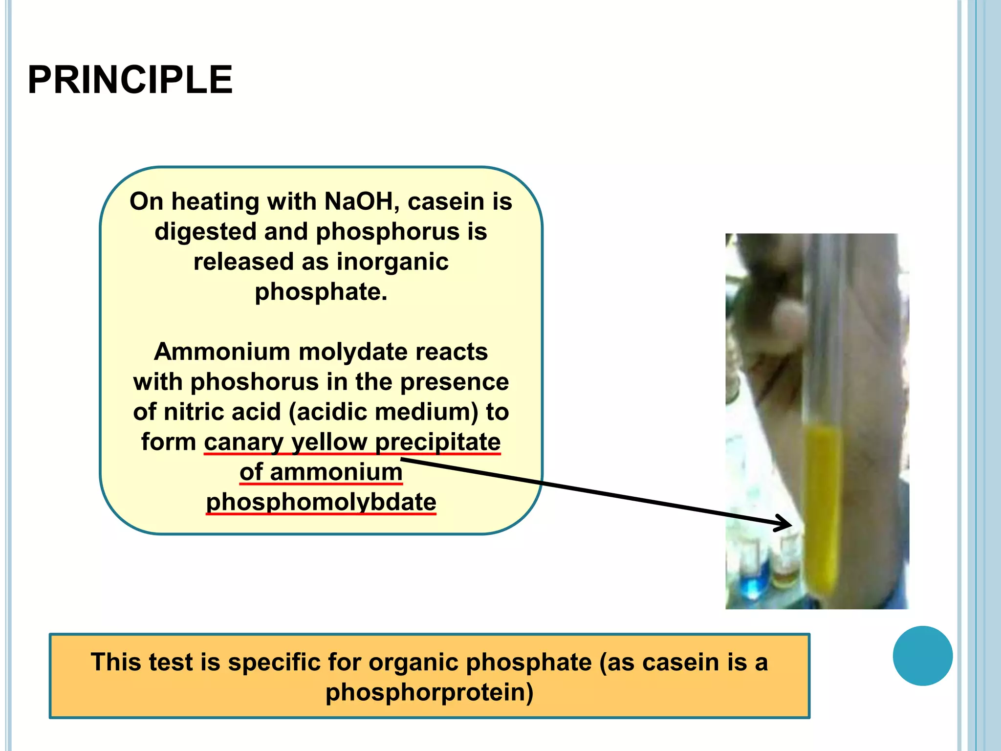 Qualitative test of proteins | PPTX