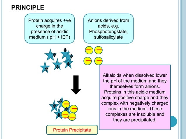 Qualitative test of proteins | PPTX | Chemistry | Science
