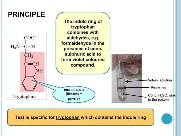 Qualitative test of proteins | PPTX | Chemistry | Science