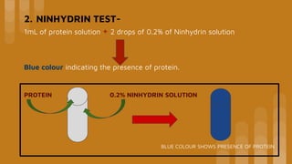 Qualitative tests of proteins, color reaction of proteins,biuret's test ...