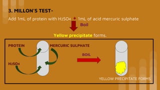 Qualitative tests of proteins, color reaction of proteins,biuret's test ...