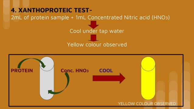 Qualitative tests of proteins, color reaction of proteins,biuret's test ...