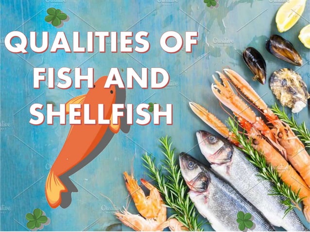 Qualities of shellfish and fish | PPTX