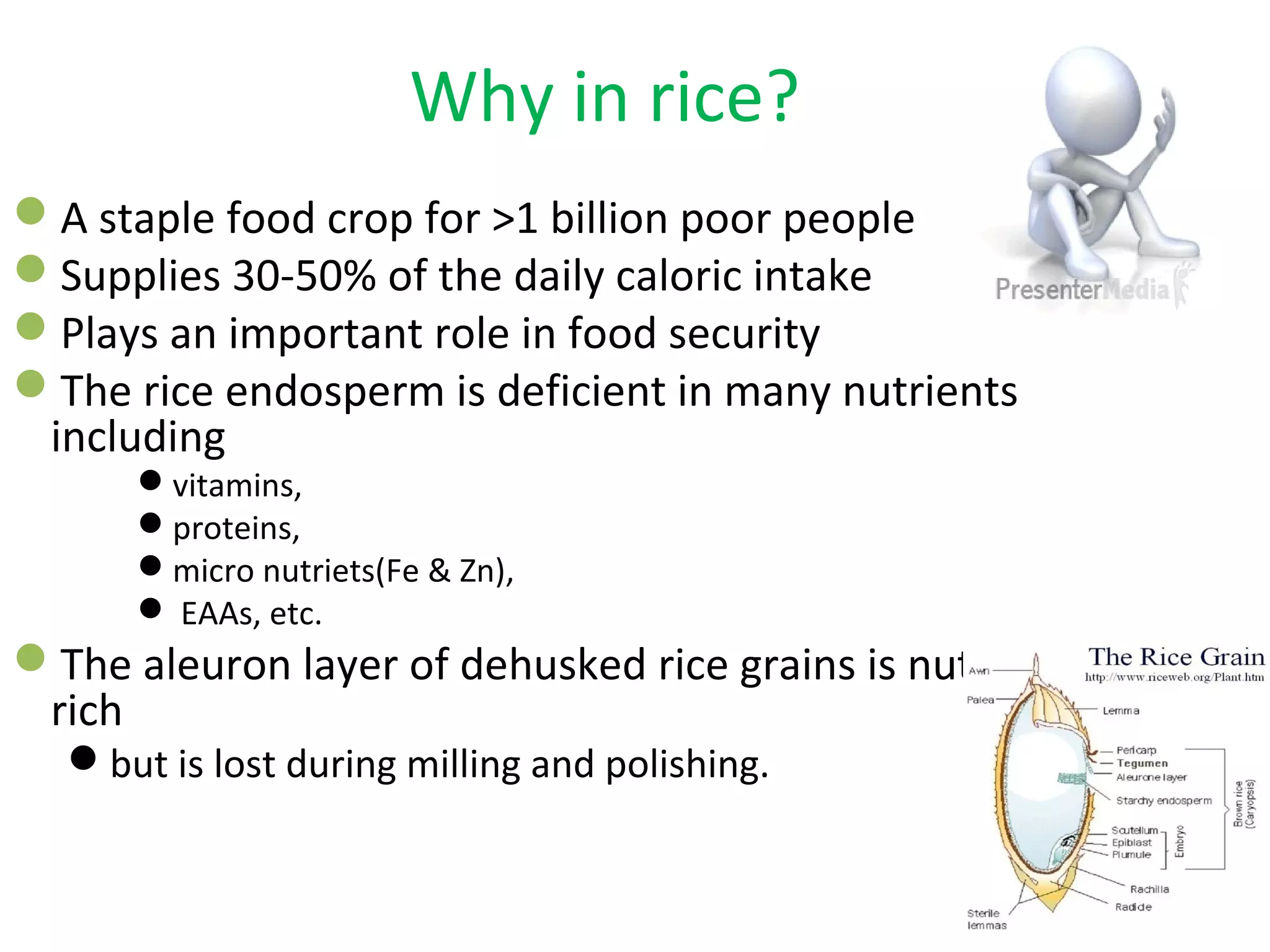 Quality analysis in rice | PPT