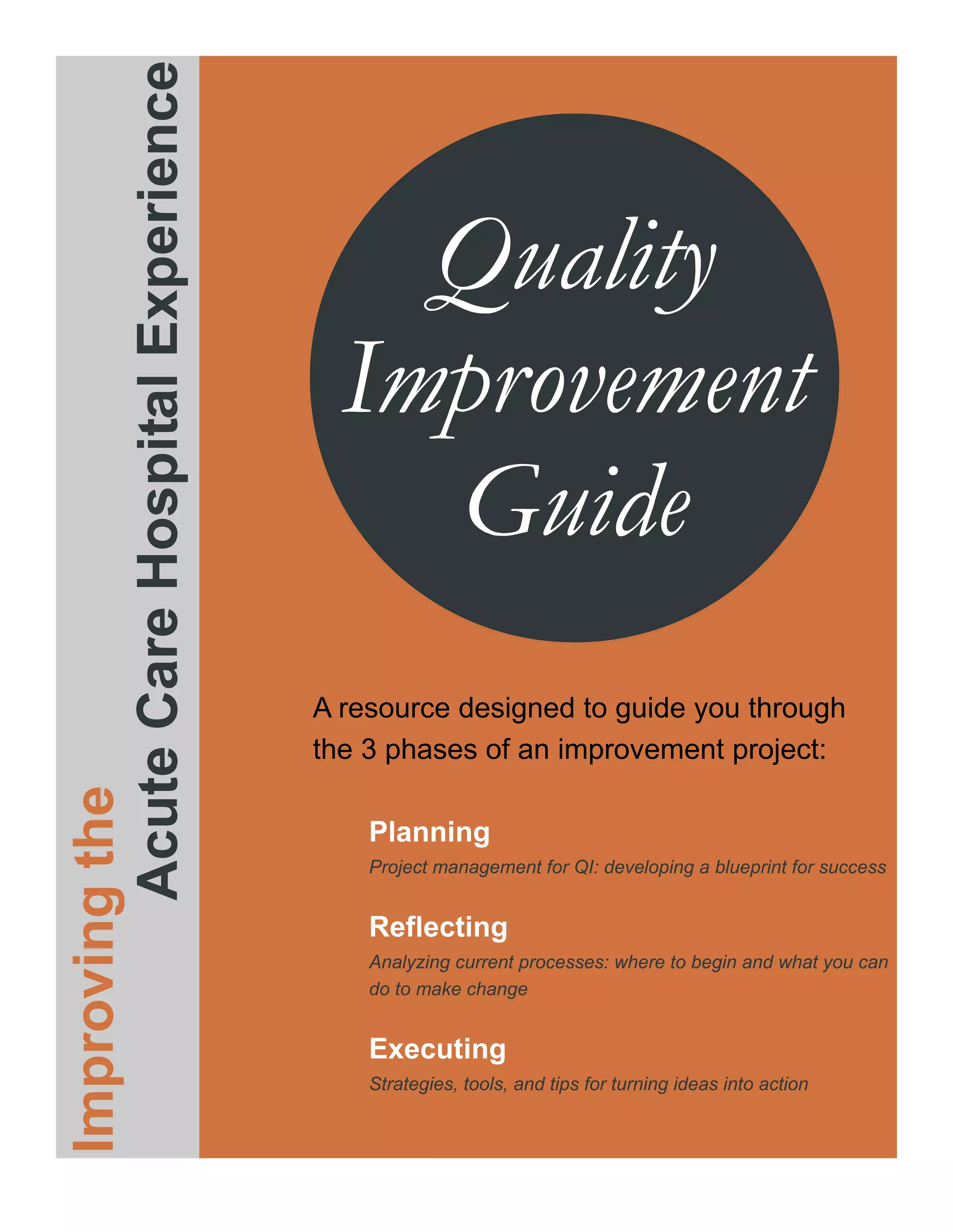 Quality Improvement Project Guide | PDF