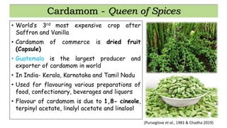 Quality and processing of spices presentation | PDF