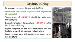 Quality and processing of spices presentation | PDF